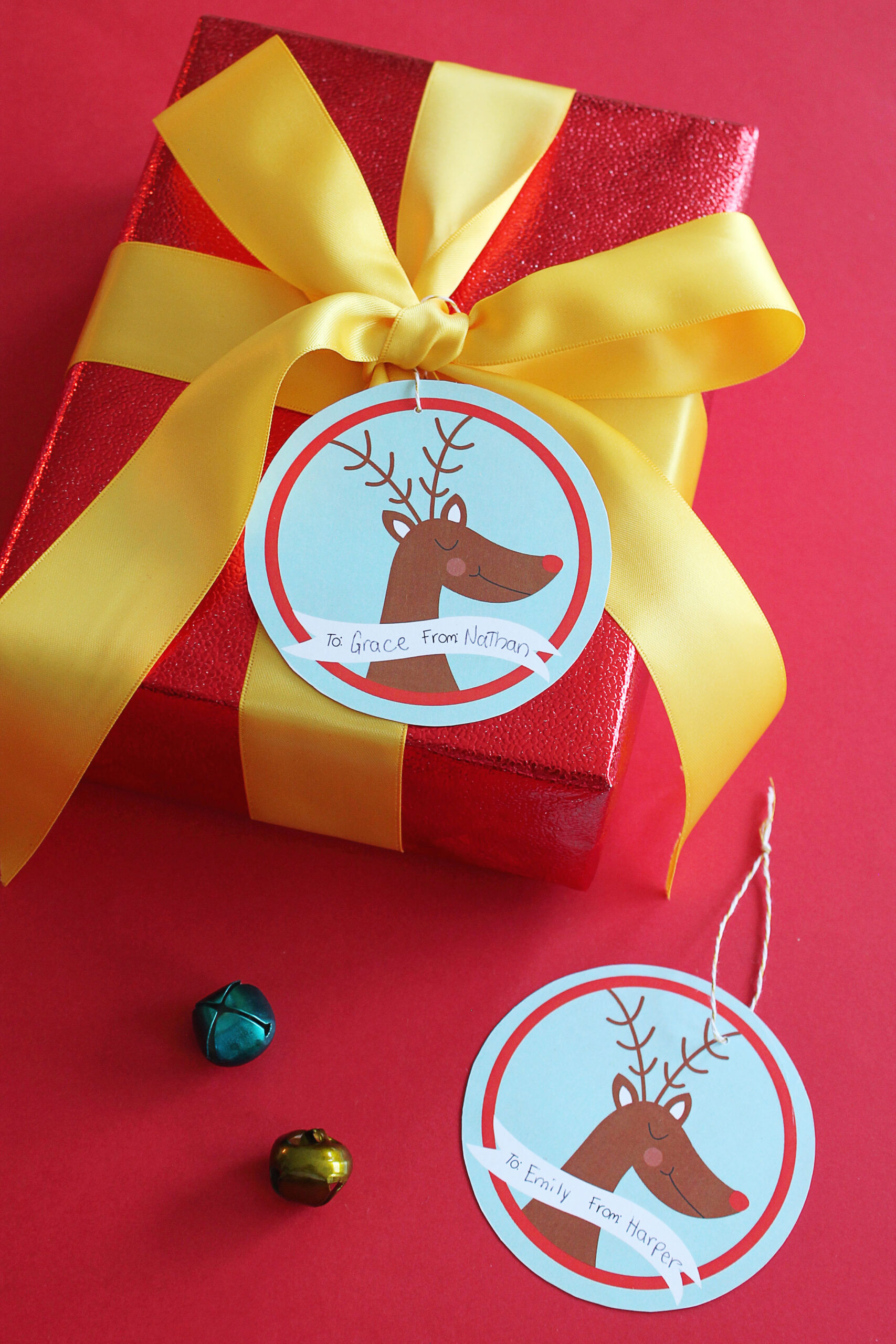 Printable Reindeer Gift Tags for All Your Holiday Gifts - Hello Holy Days!